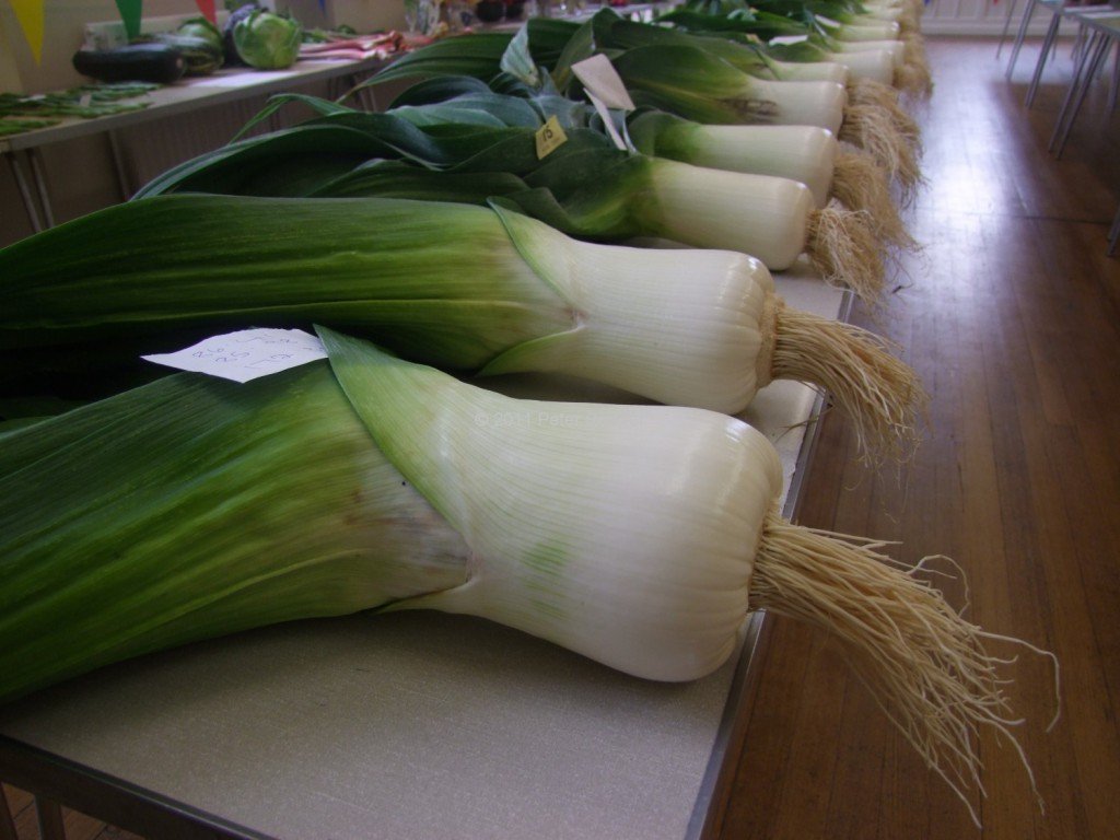 Corbridge Village Show 2015 - Visit Corbridge